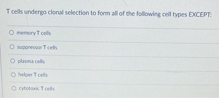 Solved T cell undergo clonal selection to form all of the | Chegg.com