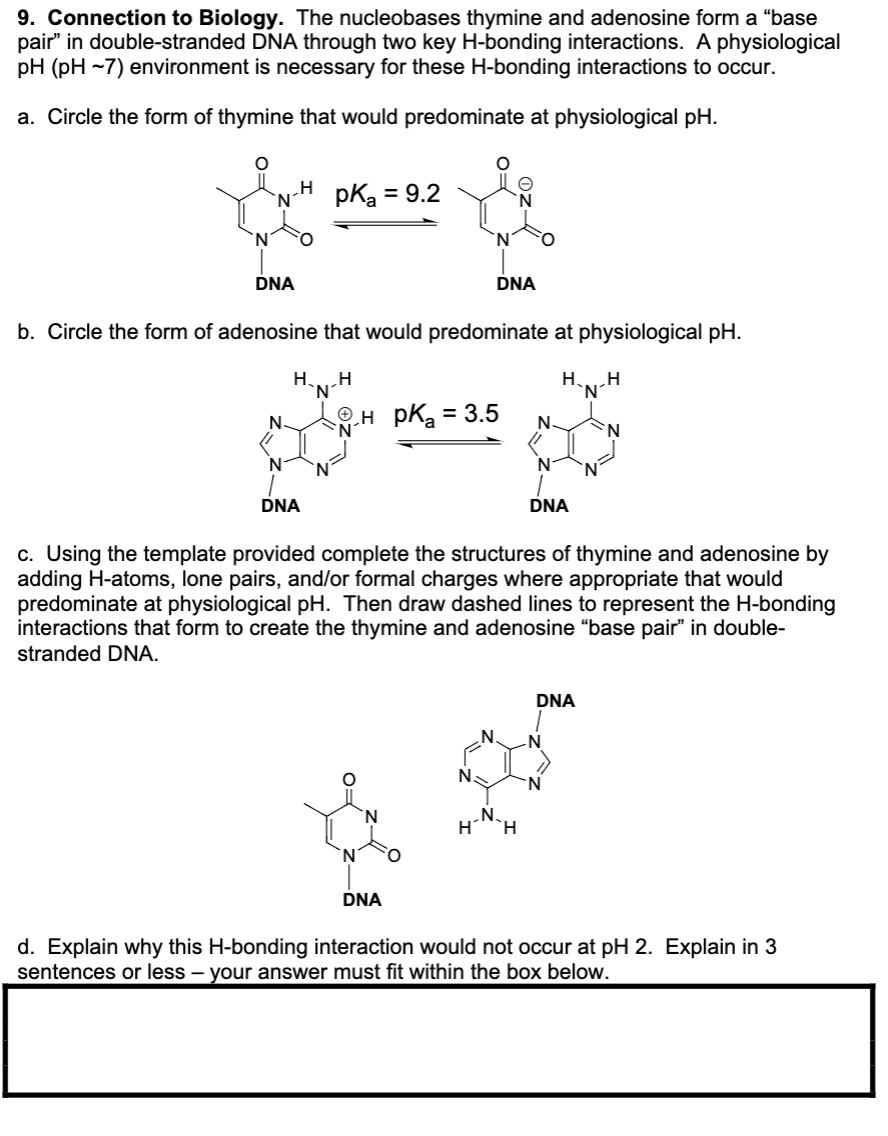 Solved Connection to Biology. The nucleobases thymine and | Chegg.com