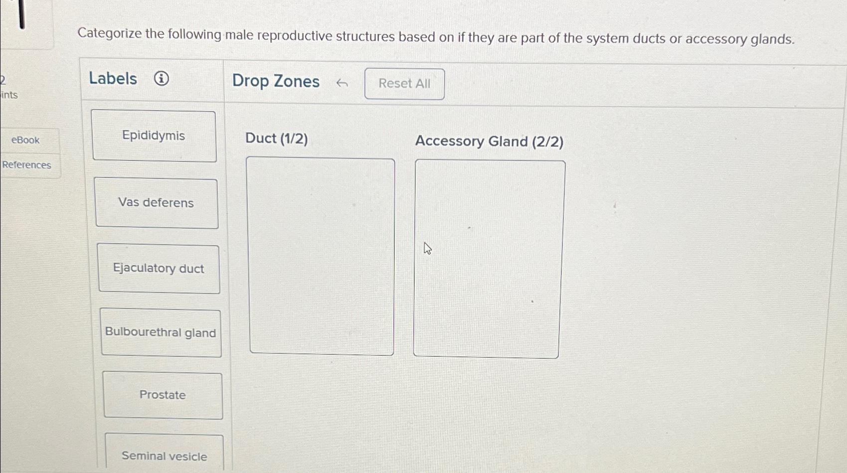Solved Categorize the following male reproductive structures | Chegg.com