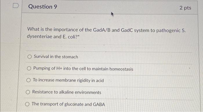 Solved What is the importance of the GadA/B and GadC system | Chegg.com