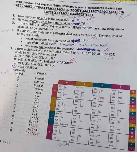 WITH the Given DNA sequence "SHINE DELGARNO sequence | Chegg.com