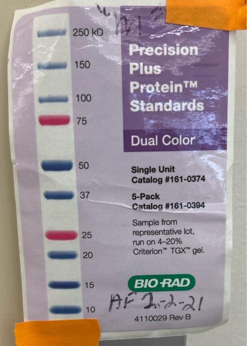 Restriction digestion and agarose gel electrophoresis | Chegg.com