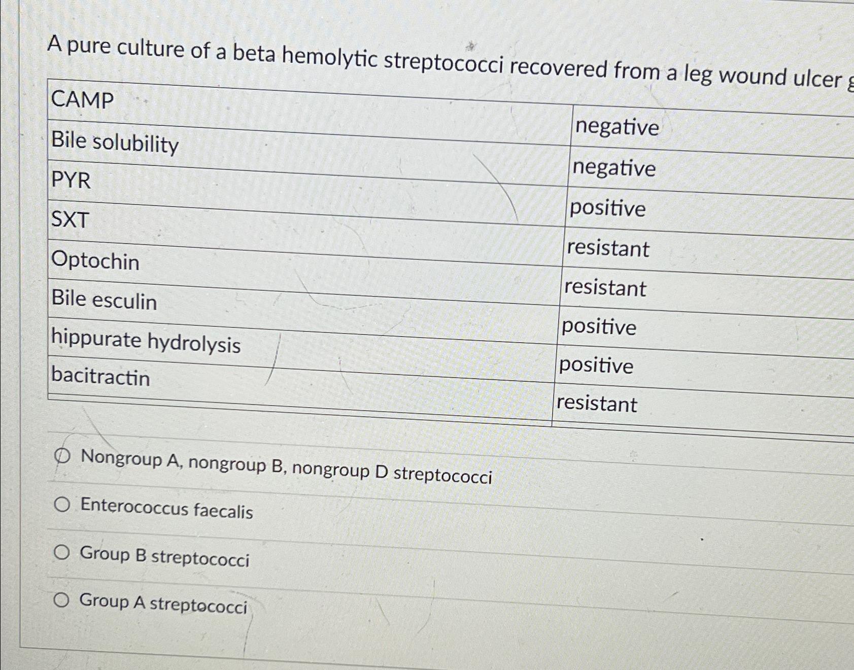 Solved A pure culture of a beta hemolytic streptococci | Chegg.com