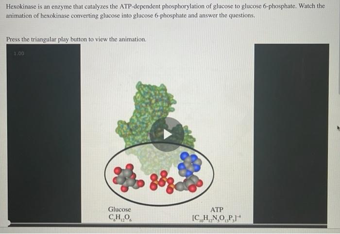 Solved Hexokinase is an enzyme that catalyzes the | Chegg.com