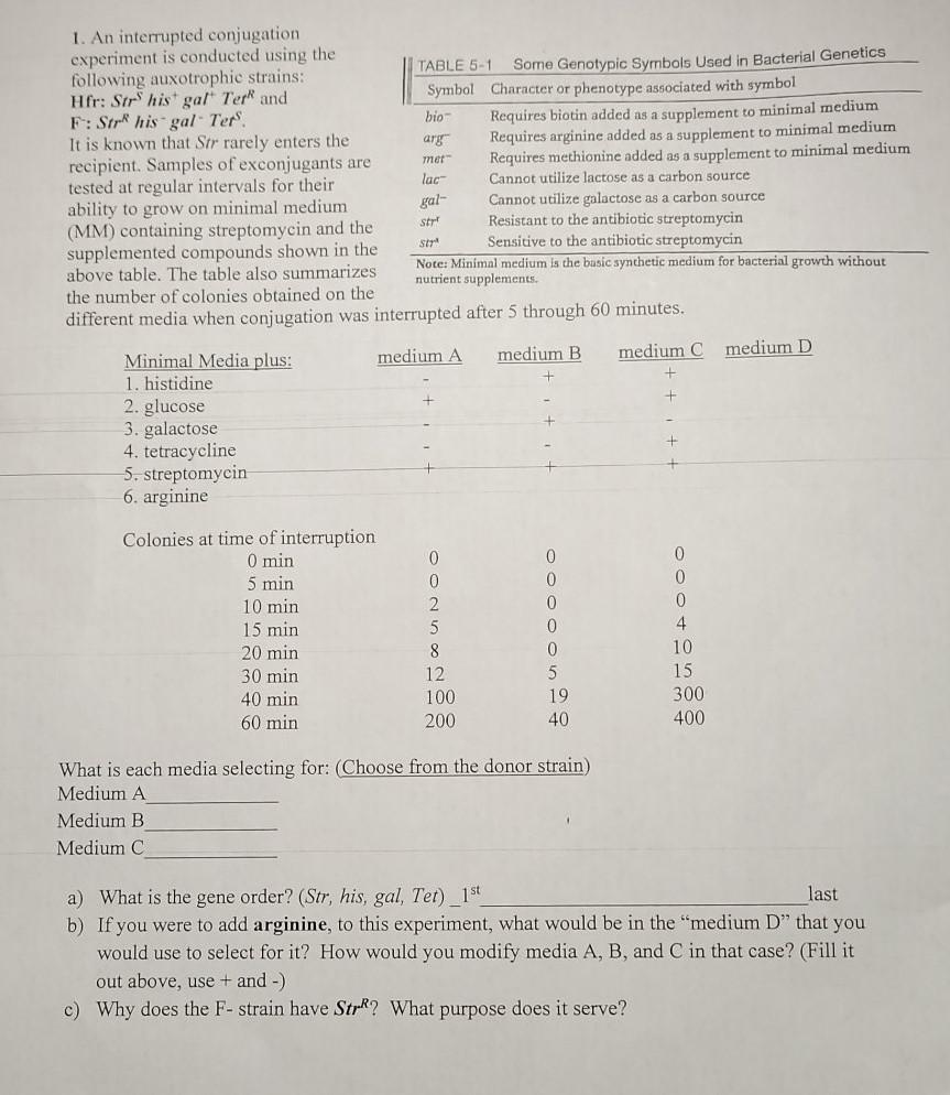 Solved mer 1. An interrupted conjugation experiment is | Chegg.com