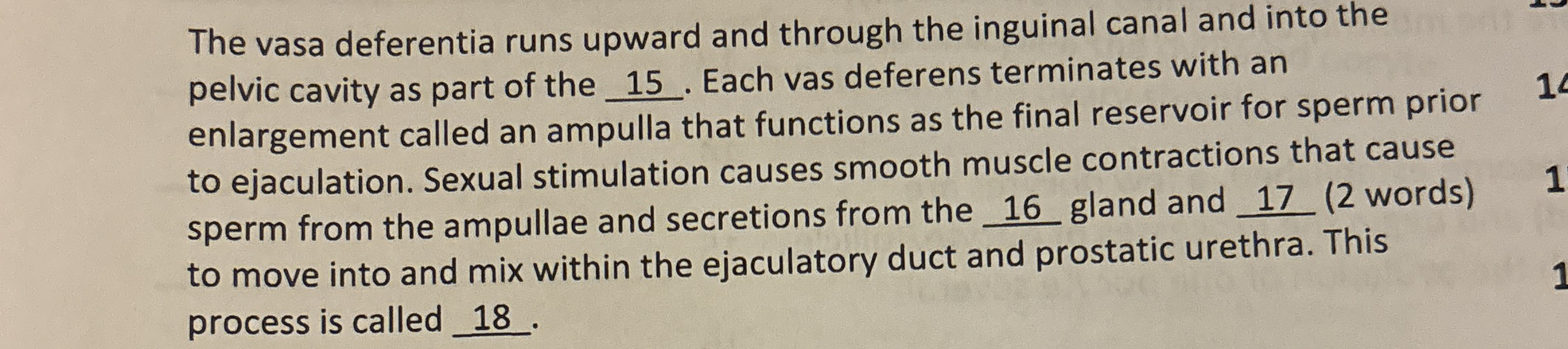 [Solved]: The vasa deferentia runs upward and through the in