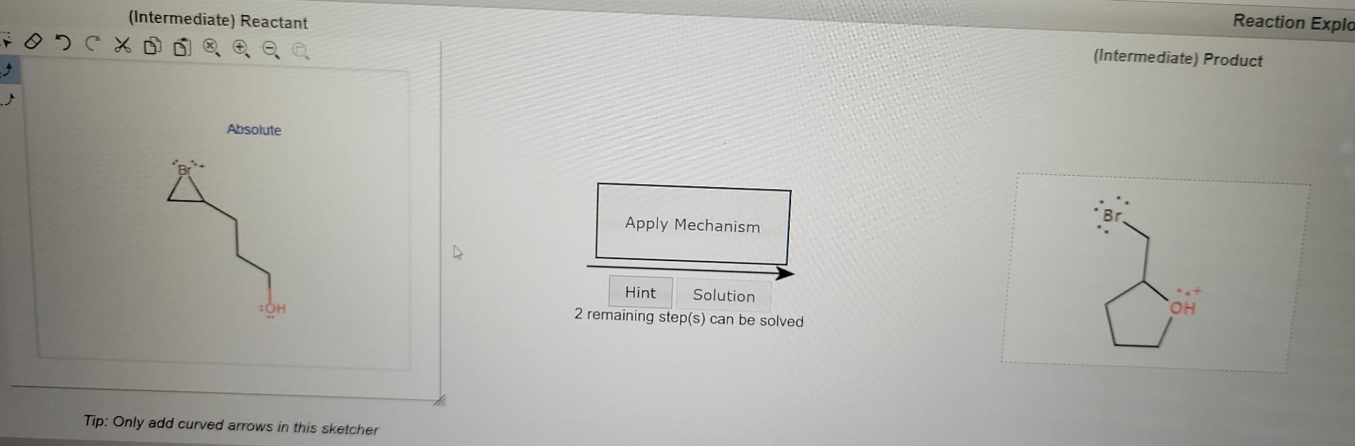 Solved (Intermediate) Product Absolute Tip: Only add curved | Chegg.com