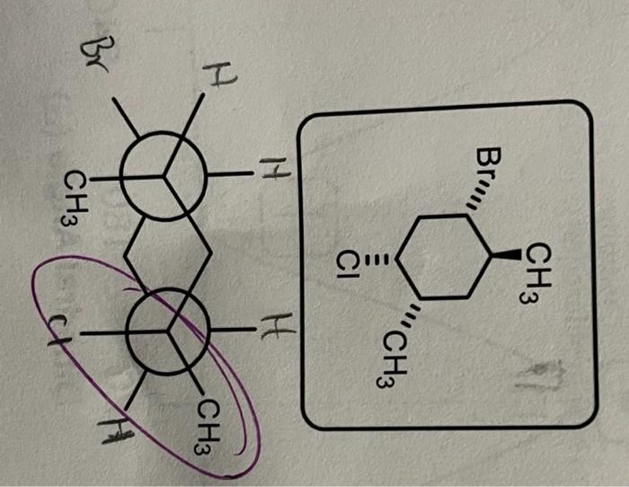 Solved Convert the bond-line structure into a correct Newman | Chegg.com