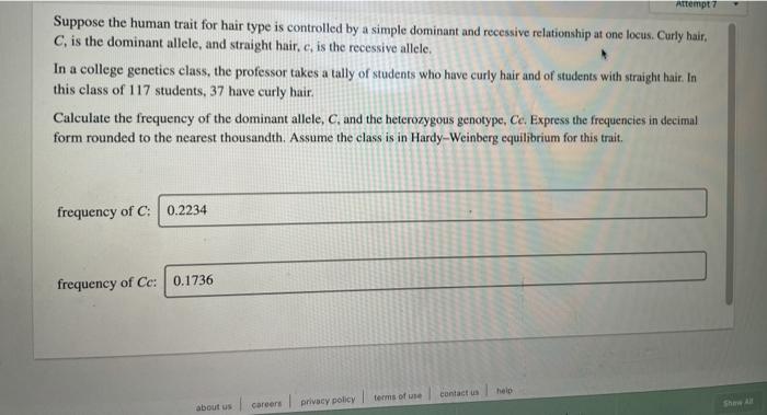 Solved Attempt Suppose the human trait for hair type is | Chegg.com