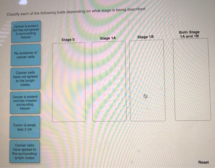Solved Classify each of the following traits depending on | Chegg.com