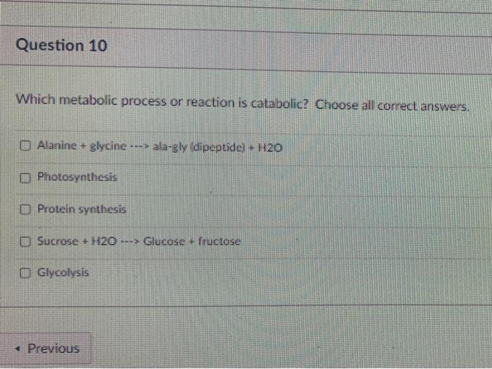 Solved Question 10 Which metabolic process or reaction is | Chegg.com