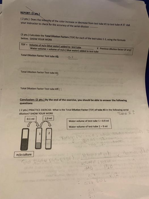 Solved Calculate The Total Dilution Factors For Each Test
