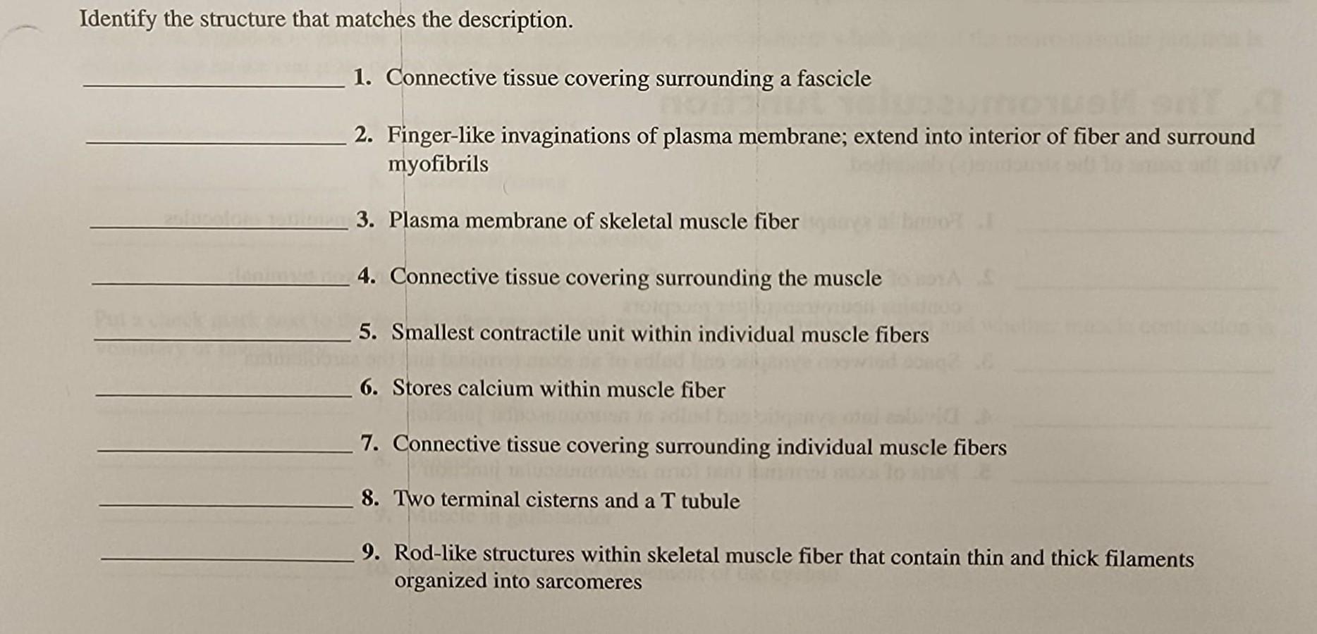 Solved Number the following nestled, cylindrical structures | Chegg.com