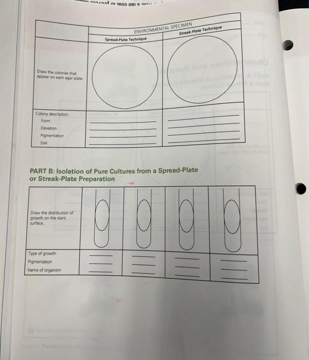Solved Observations and Results PART A: Isolation of | Chegg.com