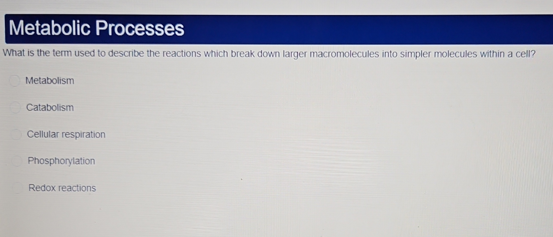 Solved Metabolic ProcessesWhat is the term used to describe | Chegg.com