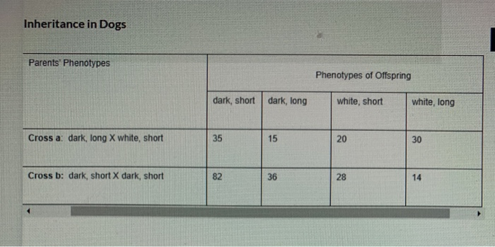 Solved Inheritance in Dogs Parents' Phenotypes Phenotypes of | Chegg.com
