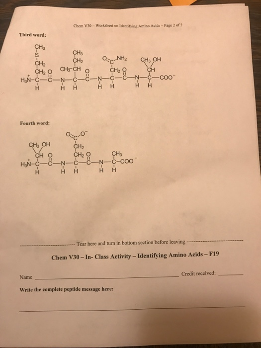 Solved Chem V30 - Worksheet on Identifying Amino Acids - F19 | Chegg.com