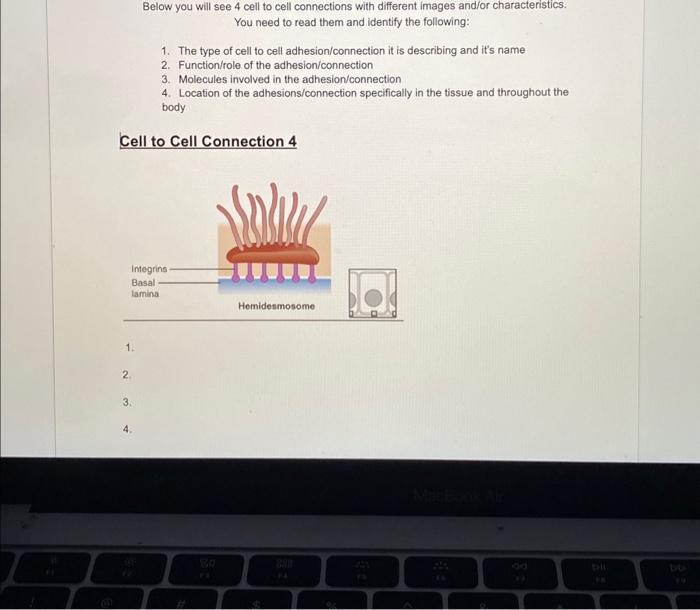 Solved Below you will see 4 cell to cell connections with | Chegg.com