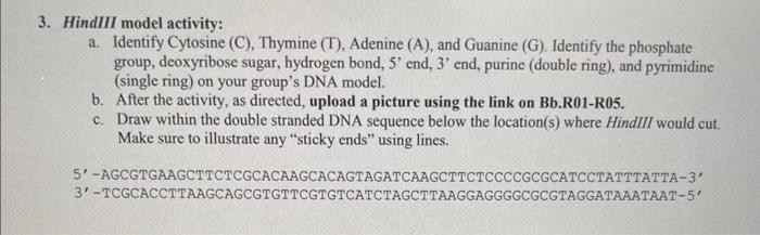 3. HindIII model activity: a. Identify Cytosine (C), | Chegg.com