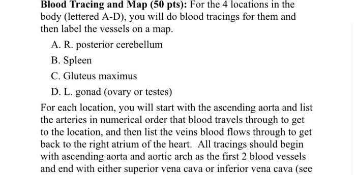 Blood Tracing and Map (50 pts): For the 4 locations | Chegg.com