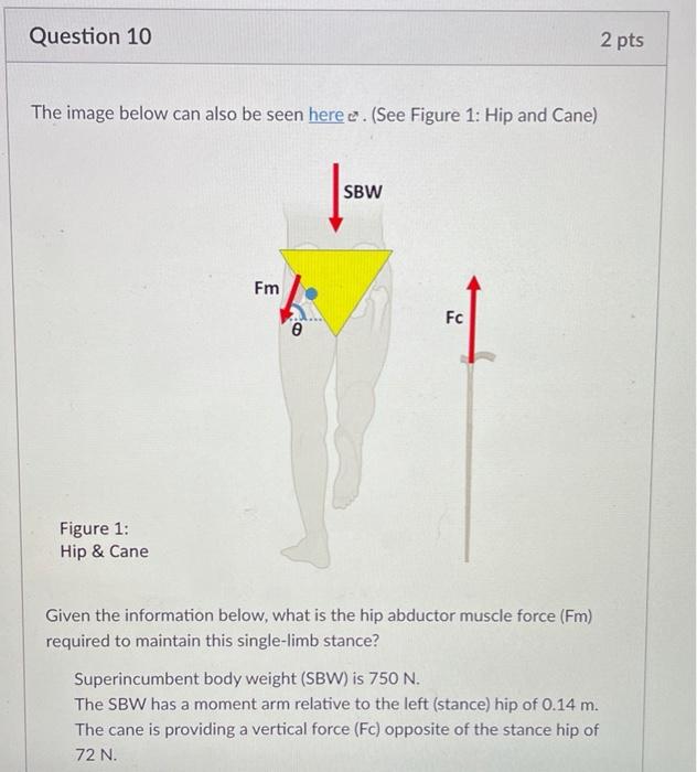 Solved Question 10 2 pts The image below can also be seen | Chegg.com