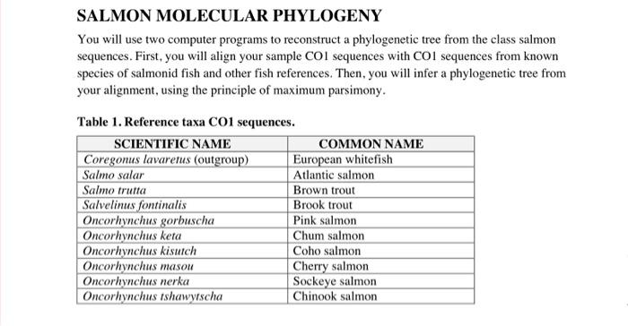 Solved SALMON MOLECULAR PHYLOGENY You will use two computer | Chegg.com