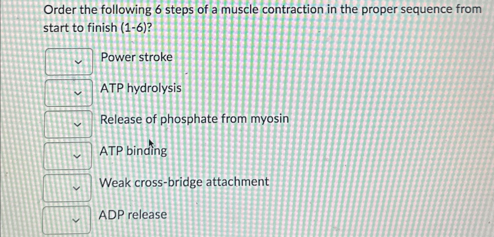 Solved Order the following 6 ﻿steps of a muscle contraction | Chegg.com