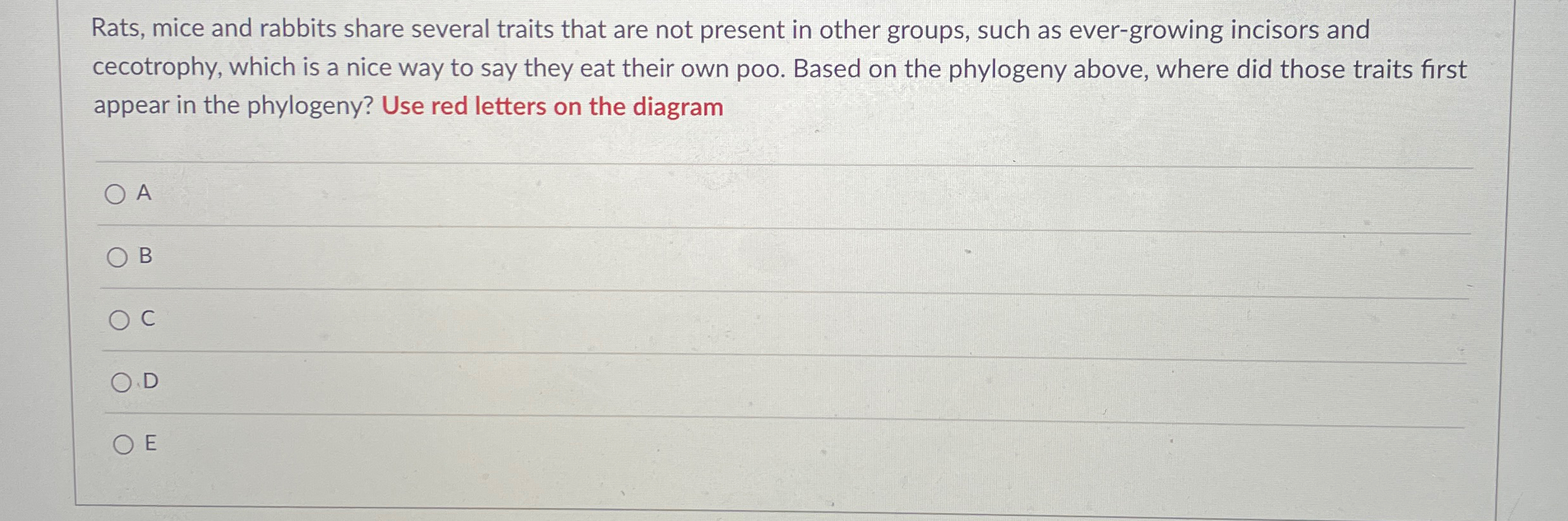 Solved Rats, mice and rabbits share several traits that are | Chegg.com