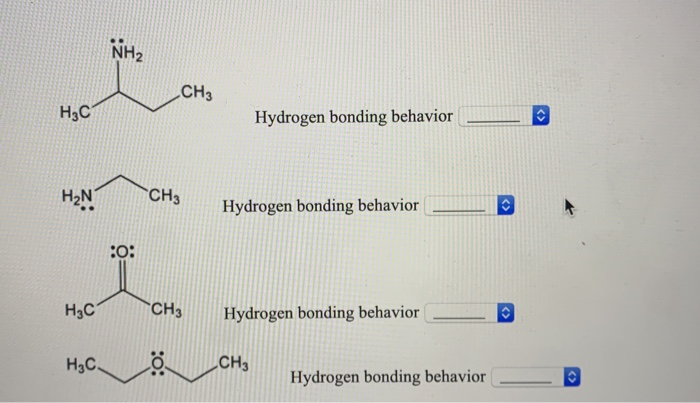 Solved NH2 THI CH3 H3C Hydrogen bonding behavior H2N CH3 | Chegg.com