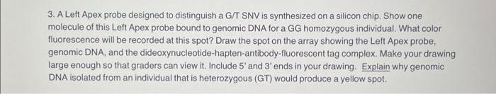 Solved 3. A Left Apex probe designed to distinguish a G/T | Chegg.com