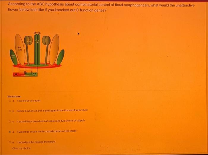 Solved According to the ABC hypothesis about combinatorial | Chegg.com