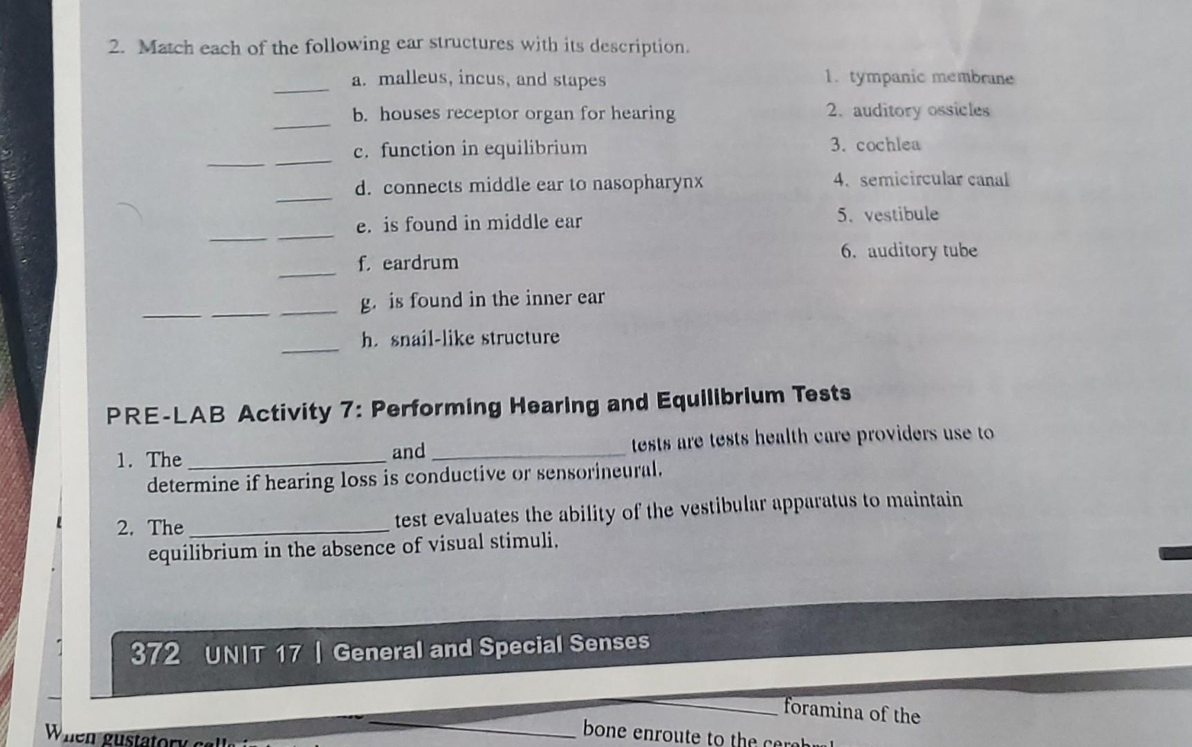 Solved 2. Match each of the following ear structures with | Chegg.com