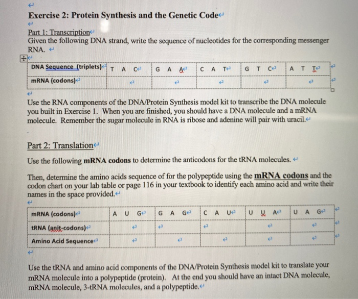 Solved Exercise 2: Protein Synthesis and the Genetic Code | Chegg.com