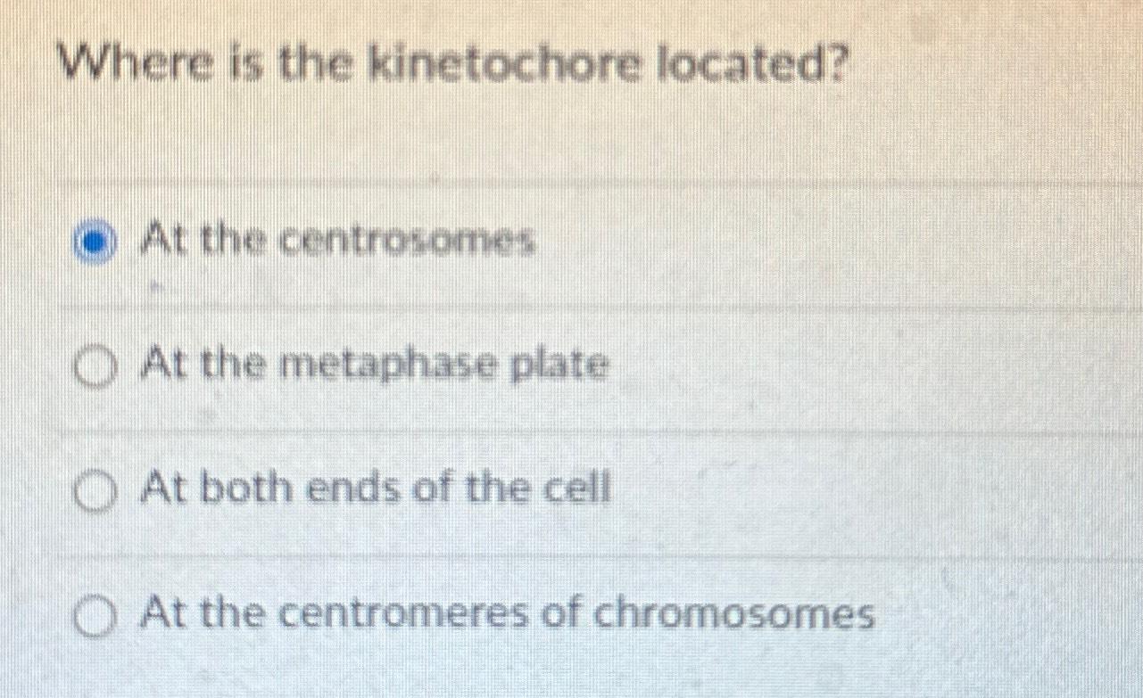Solved Where is the kinetochore located?At the centrosomesAt | Chegg.com