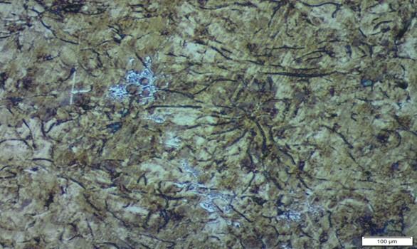 Solved These are the Micrographs of a certain cast iron | Chegg.com