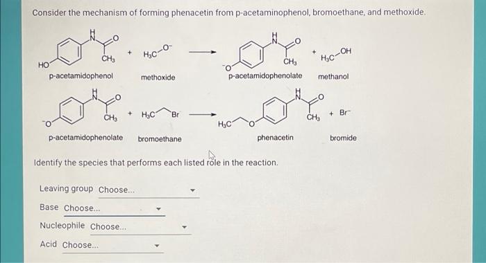 Solved Consider the mechanism of forming phenacetin from | Chegg.com