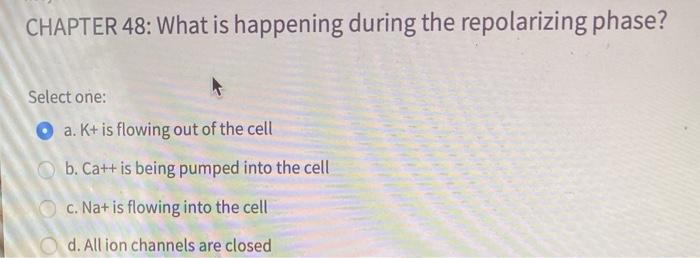 Solved CHAPTER 48: What is happening during the repolarizing | Chegg.com
