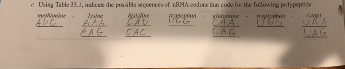Solved Molecular biologists use probes of mRNA to locate | Chegg.com