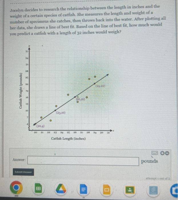 Solved Jocelyn decides to research the relationship between | Chegg.com