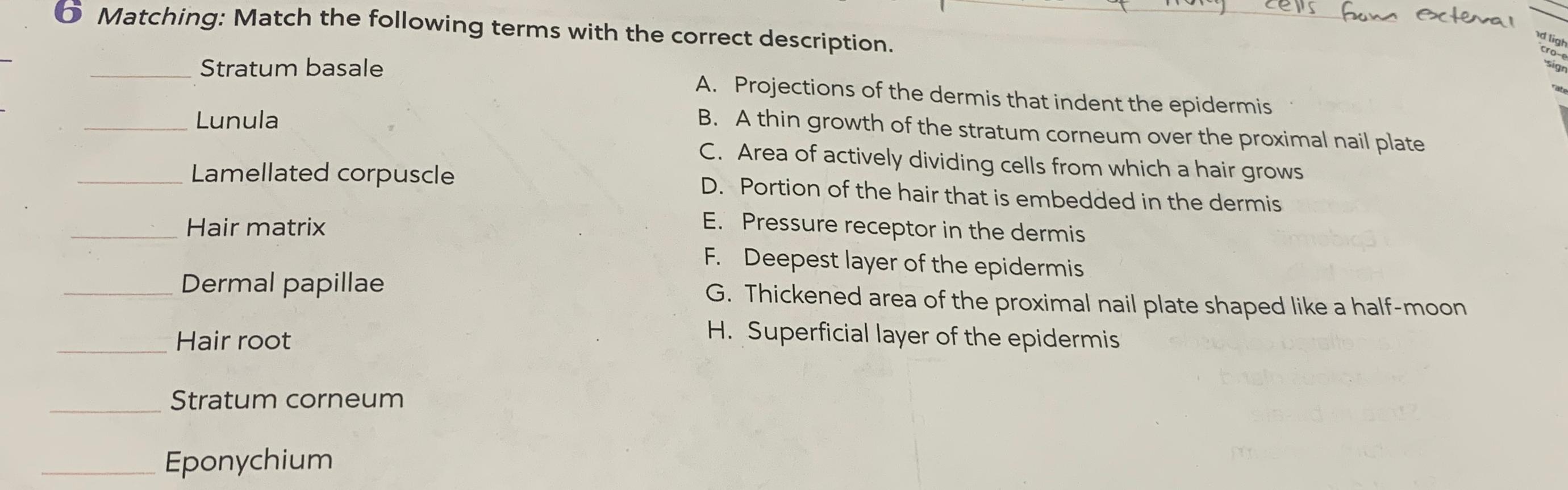 Solved 6 ﻿Matching: Match the following terms with the | Chegg.com