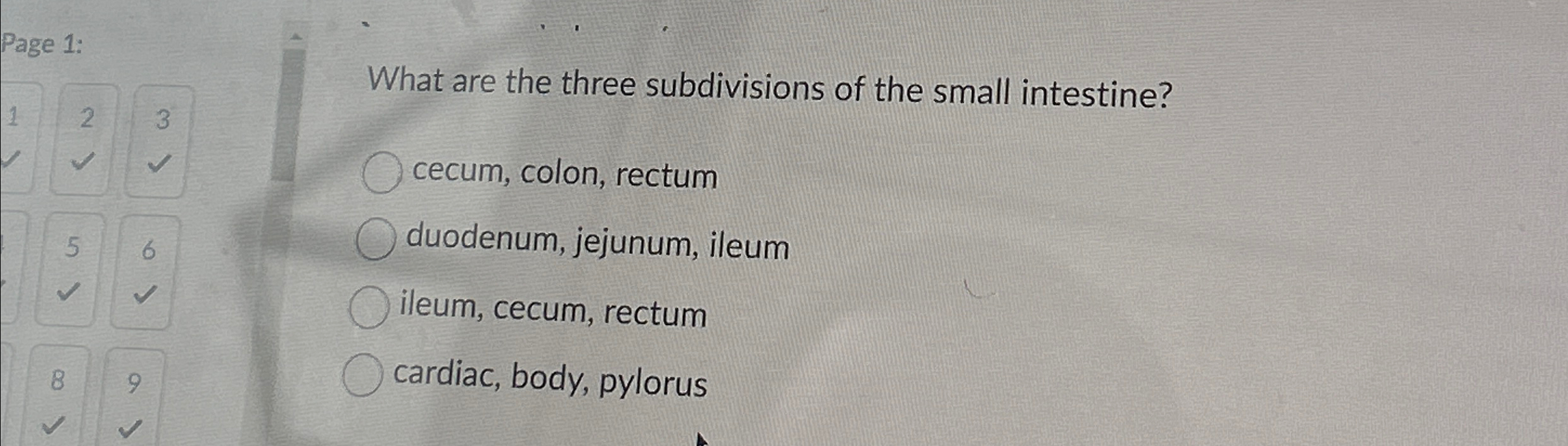 Solved What are the three subdivisions of the small | Chegg.com
