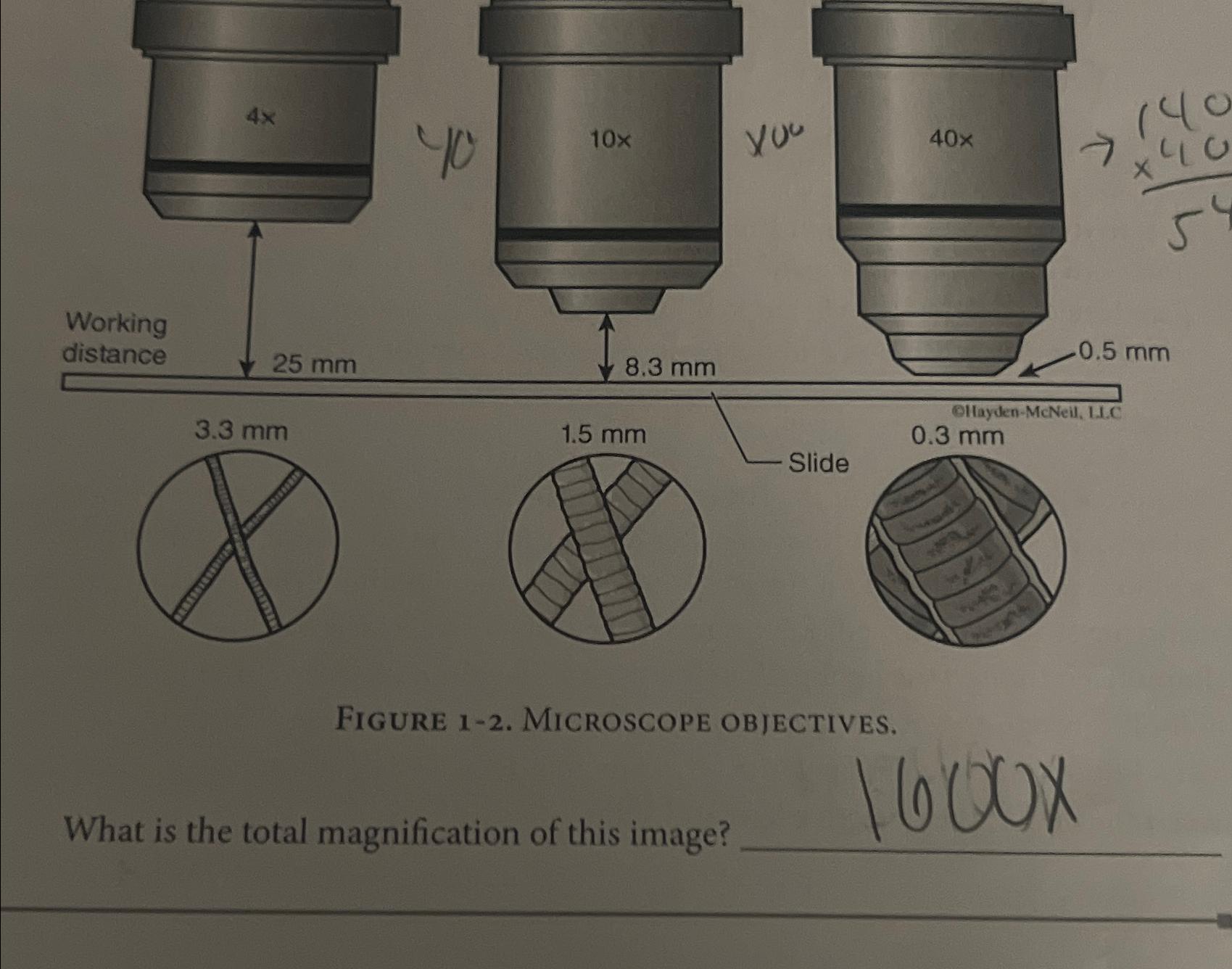 Solved Figure 1 2 ﻿microscope Objectives What Is The Total