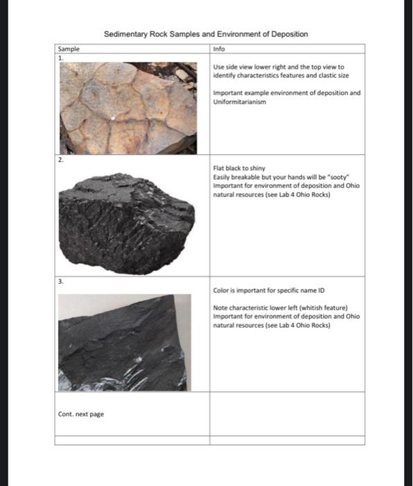 Solved Problem Set 1: Specimen Identification Look at the | Chegg.com