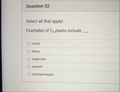Solved Question 32Select all that apply!Examples of C4 | Chegg.com