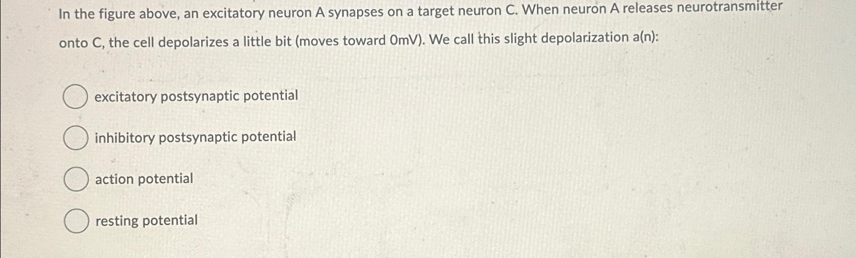 Solved In the figure above, an excitatory neuron A synapses | Chegg.com