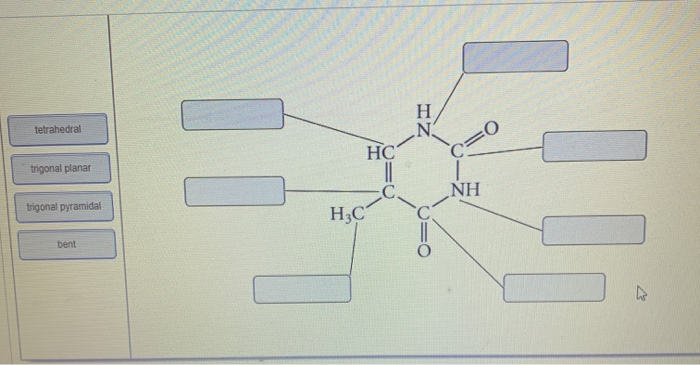 Solved tetrahedral trigonal planar NH trigonal pyramidal H3C | Chegg.com