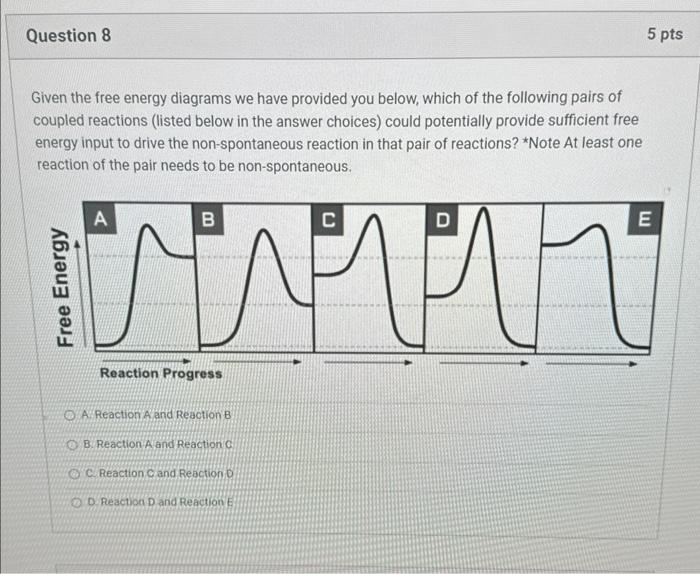 Solved Given the free energy diagrams we have provided you | Chegg.com