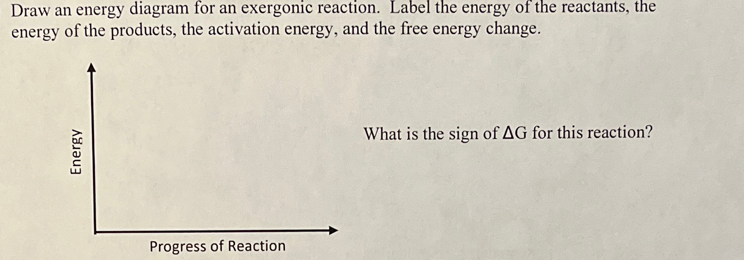 Solved Draw an energy diagram for an exergonic reaction. | Chegg.com