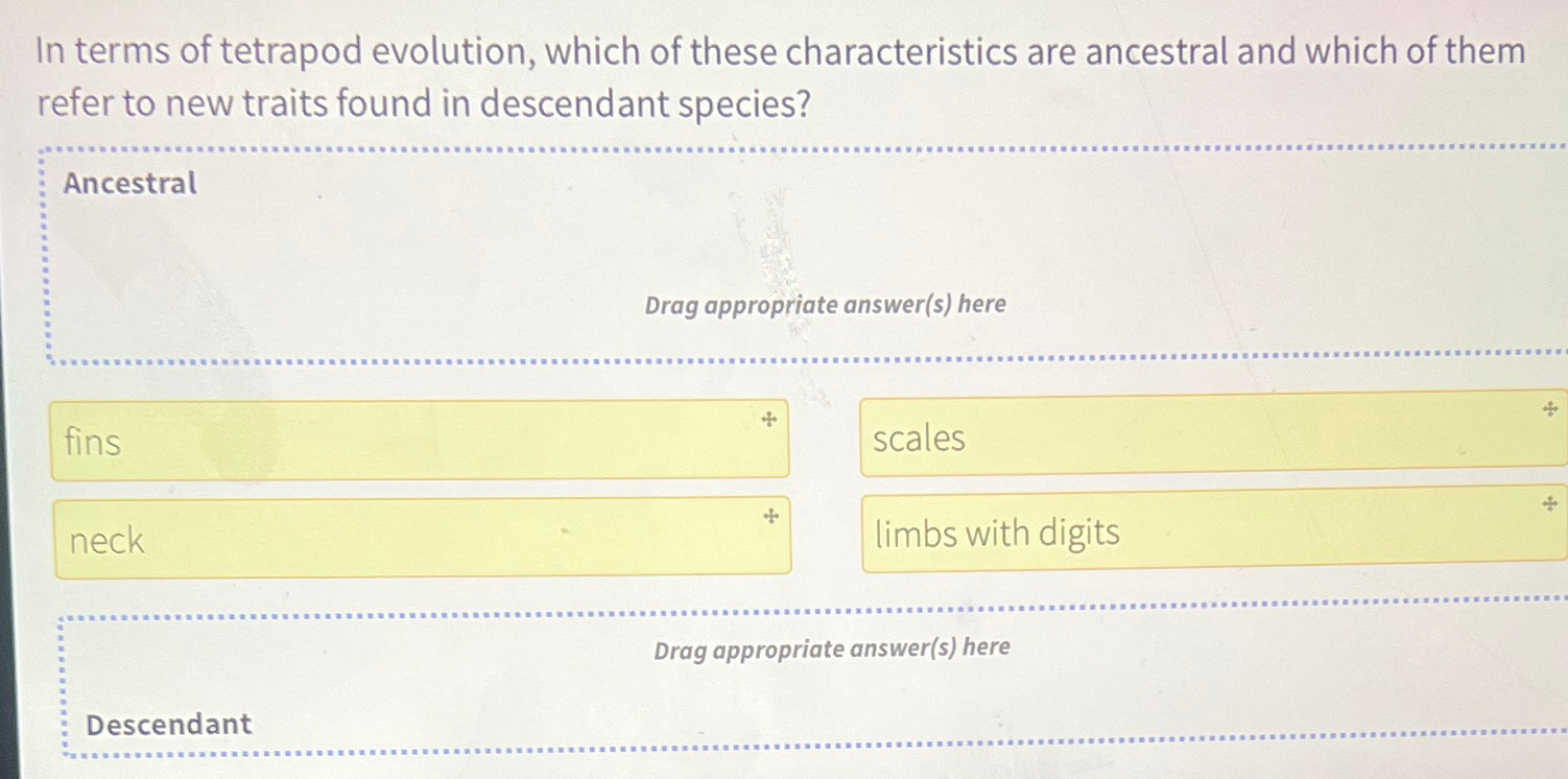 Solved In terms of tetrapod evolution, which of these | Chegg.com