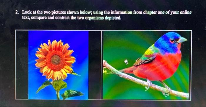 Solved 2. Look at the two pictures shown below; using the | Chegg.com